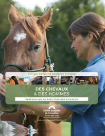 Programme formation cavalier soigneur | CEF