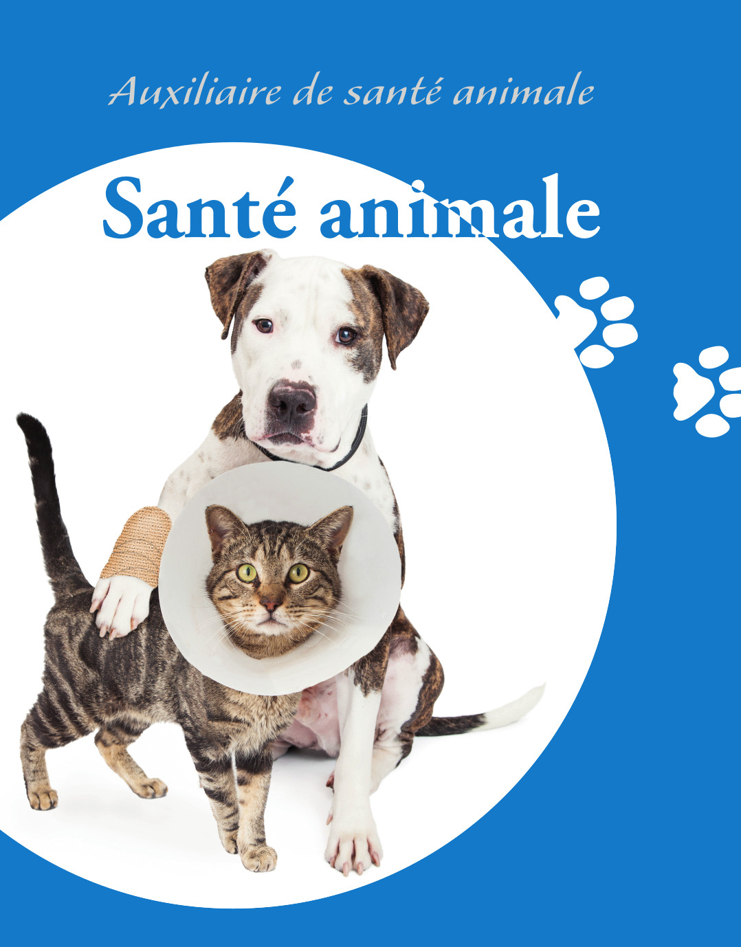 Programme formation auxiliaire vétérinaire | CEF