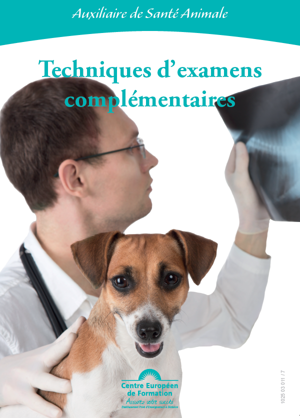 Programme formation auxiliaire vétérinaire | CEF